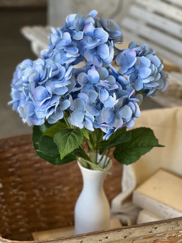 23" Encore Hydrangea Bush-Blue – Mackinaw Depot
